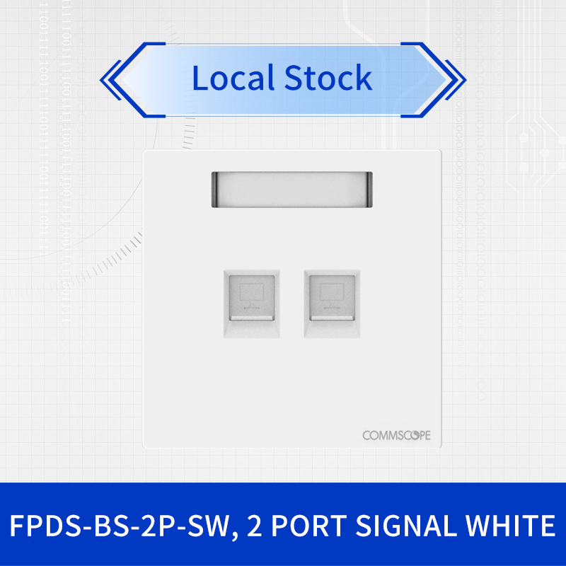 British Standard Dual Port Faceplate with Flush Mount